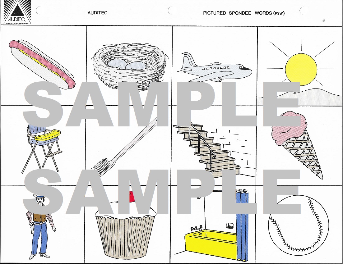 Pictured Spondee Words Classic DRAWING Picture Card - Color, 11"L x 8.5"H